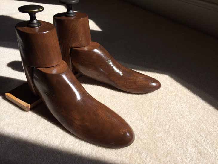 Welcome to BradyBot - Boot Trees