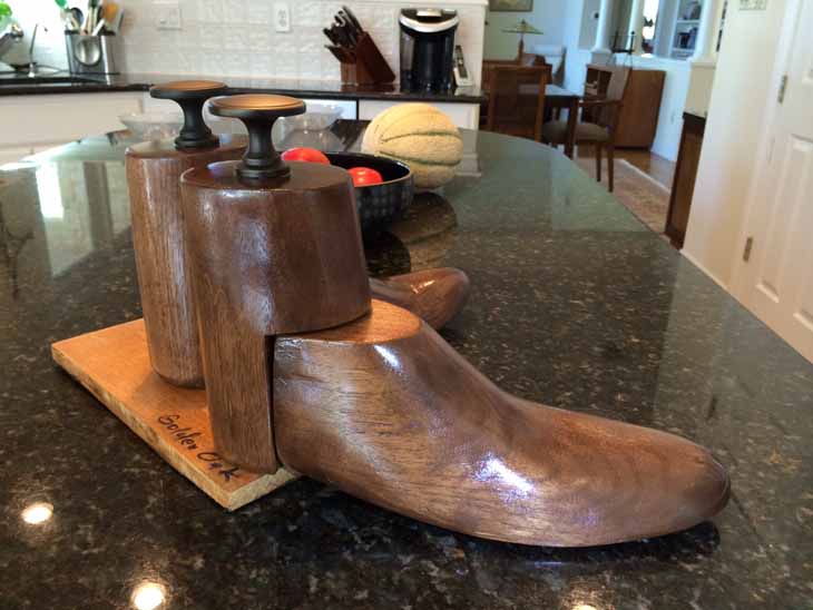 Welcome to BradyBot - Boot Trees