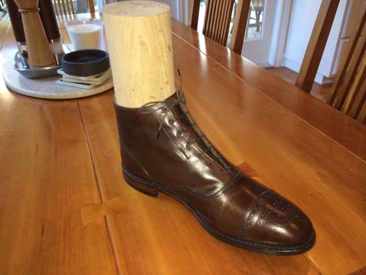 Welcome to BradyBot - Boot Trees